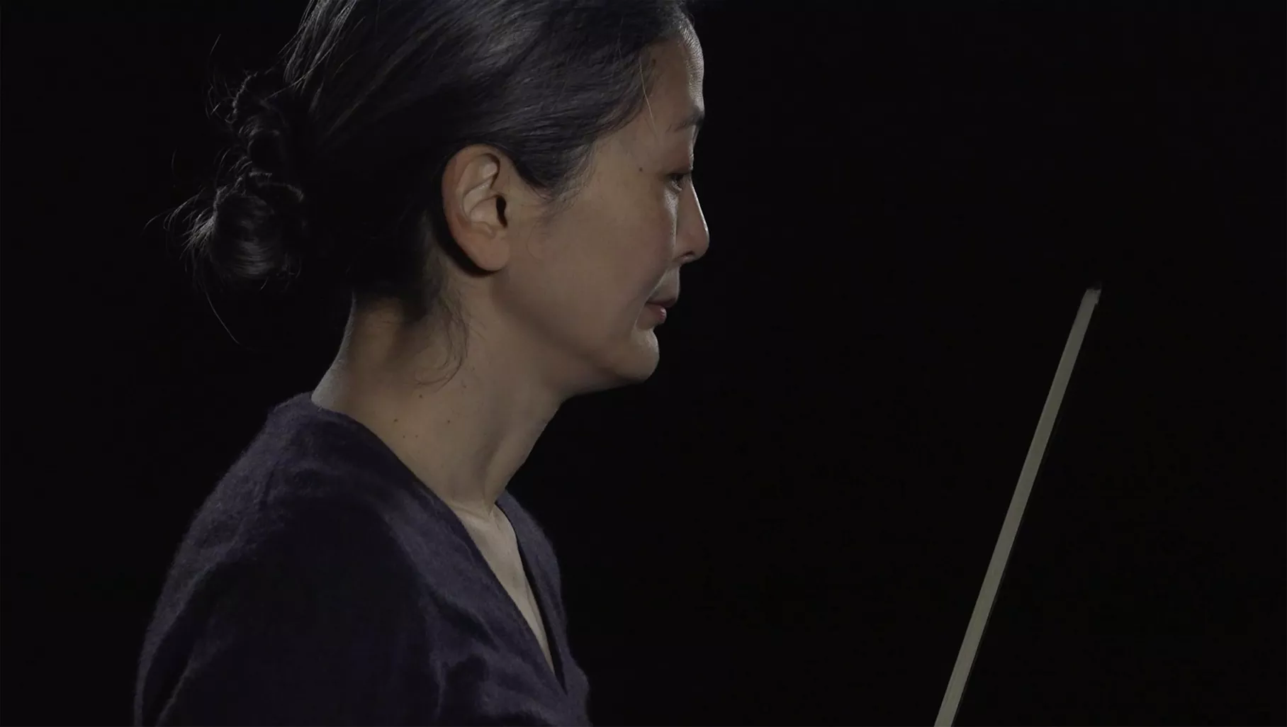 Empathy in Musical Performance | PGVIS